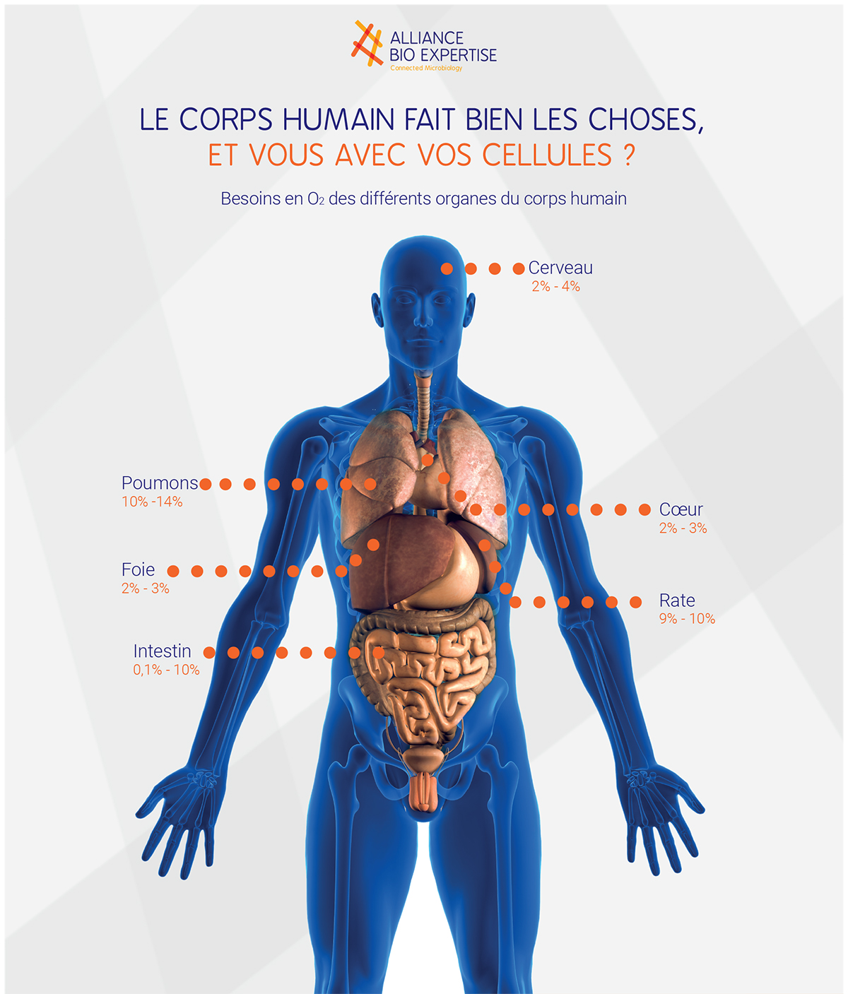 La base des bonnes pratiques en culture cellulaire - Alliance Bio Expertise