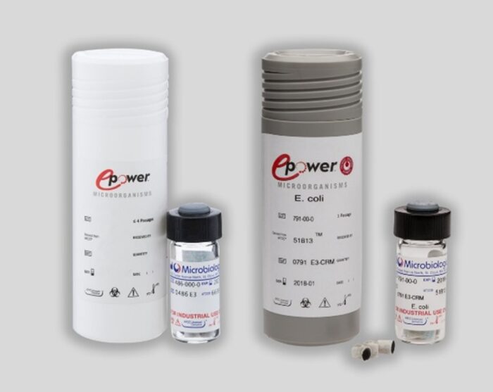 STAPHYLOCOCCUS AUREUS SUBSP. AUREUS ATCC® 6538 KWIK STIK Plus - 5 swabs ...